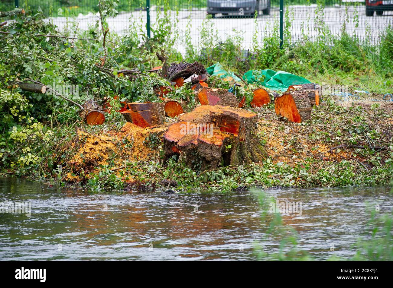 Hs2 cut down trees hi-res stock photography and images - Alamy