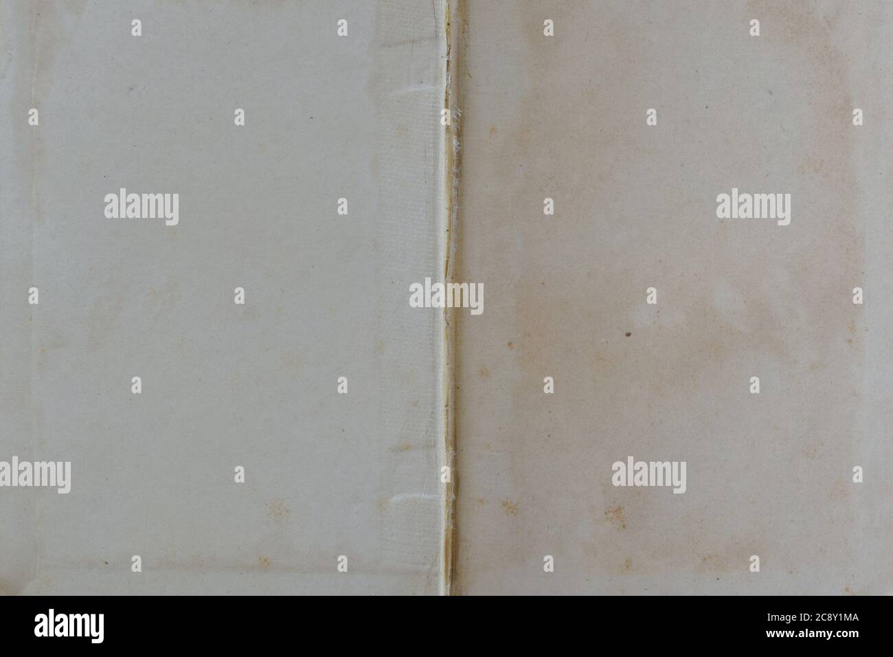 Hundred year old book blank paper pages and interior spine hinge ...