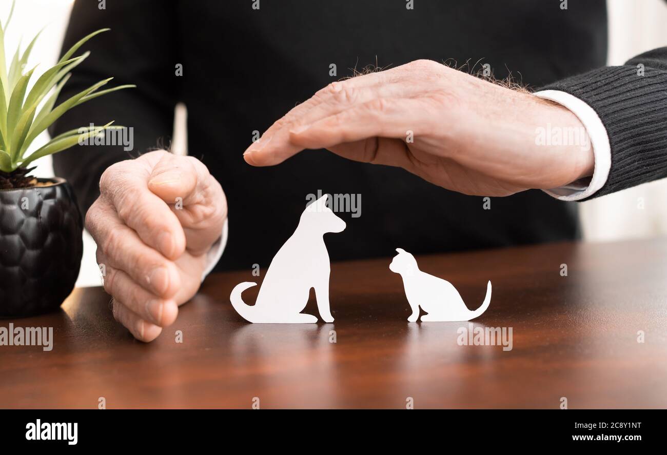 Dog protecting cat hi-res stock photography and images - Alamy