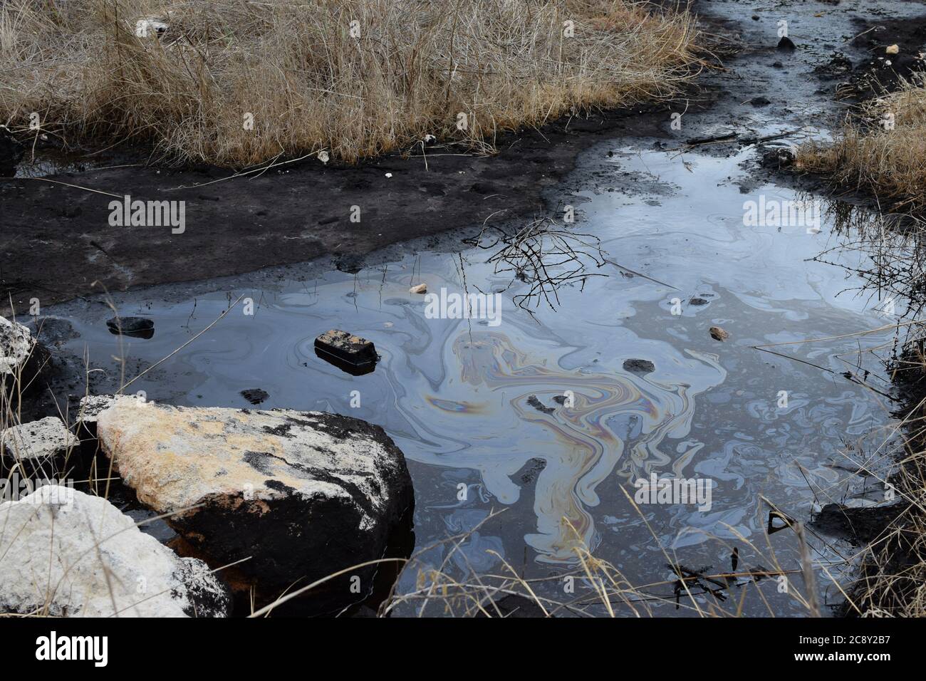 Natural tar water asphalt pit in swamp wetland Stock Photo - Alamy