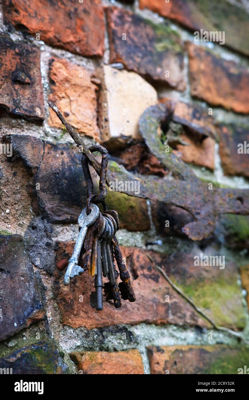 Openner hi-res stock photography and images - Alamy