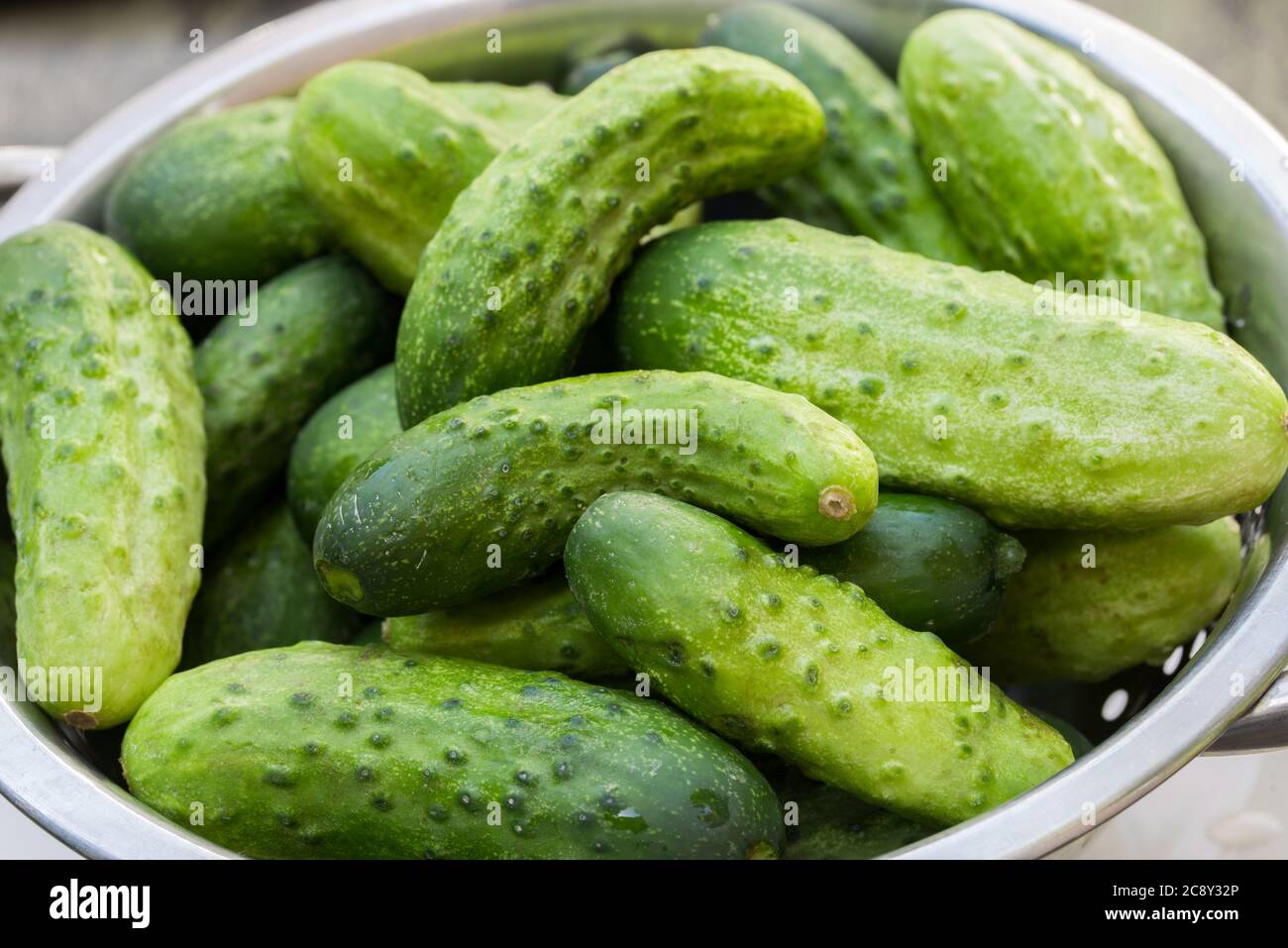 Cucumber washing hi-res stock photography and images - Alamy
