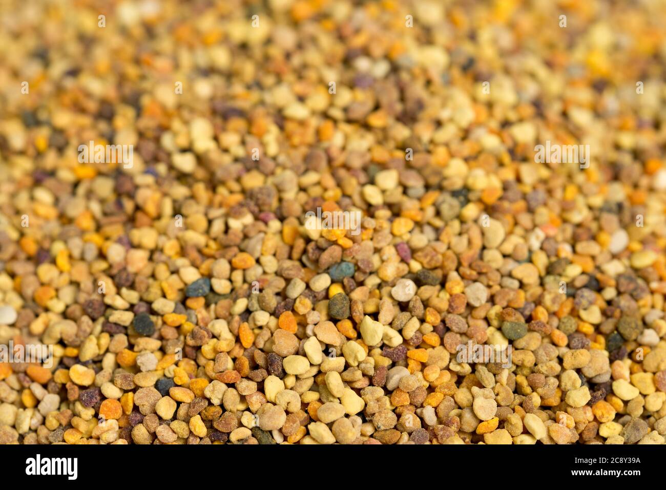 bee pollen grains closeup selective focus backround Stock Photo - Alamy