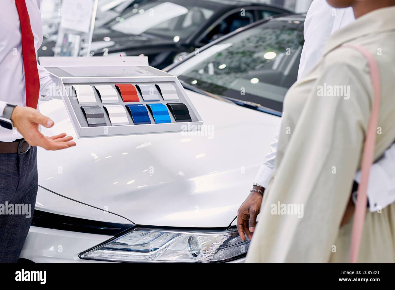 young professional salesman represents a color palette to buyers ...