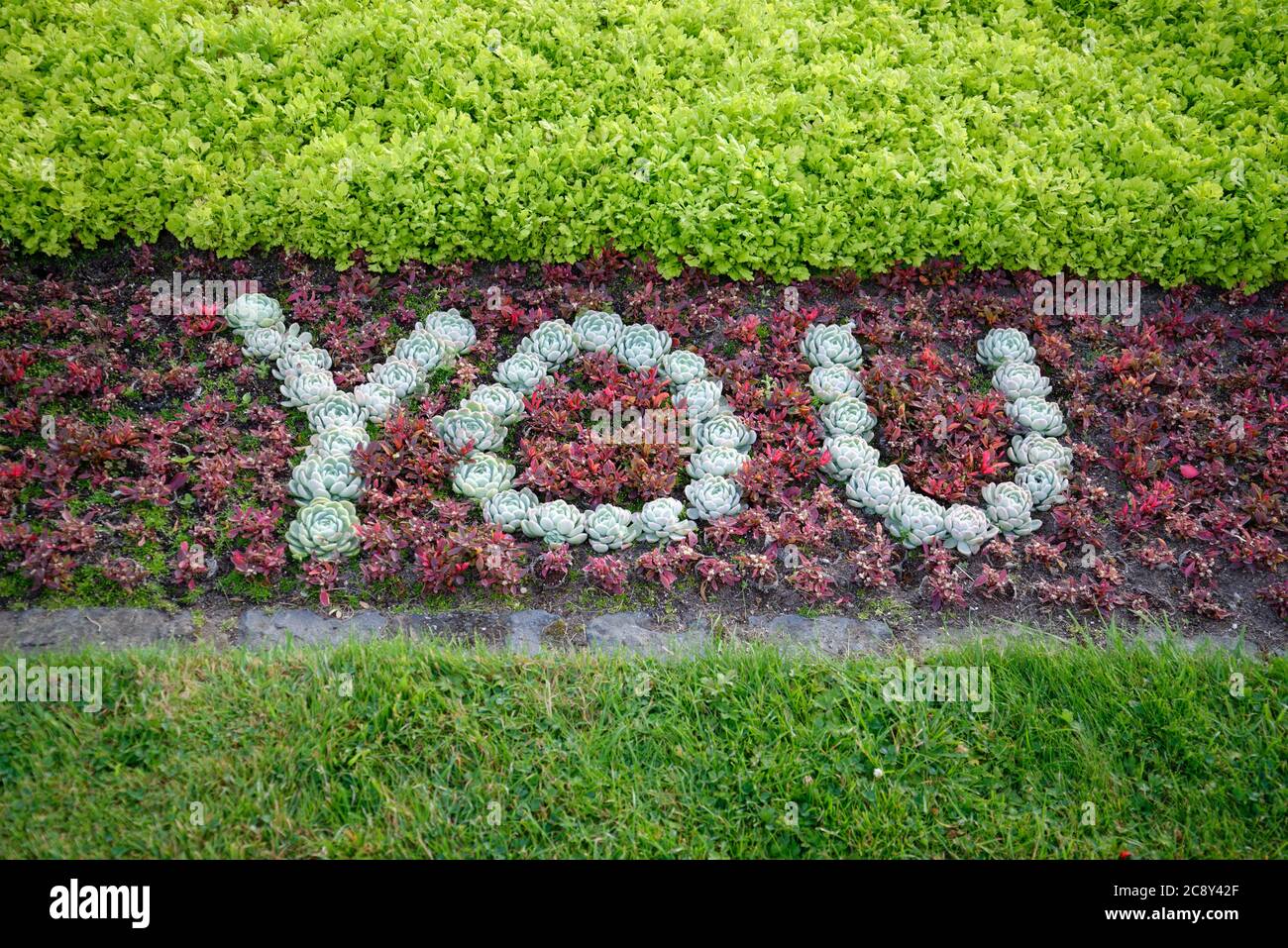 The word YOU spelt in flowers and plants. A floral display Stock Photo ...