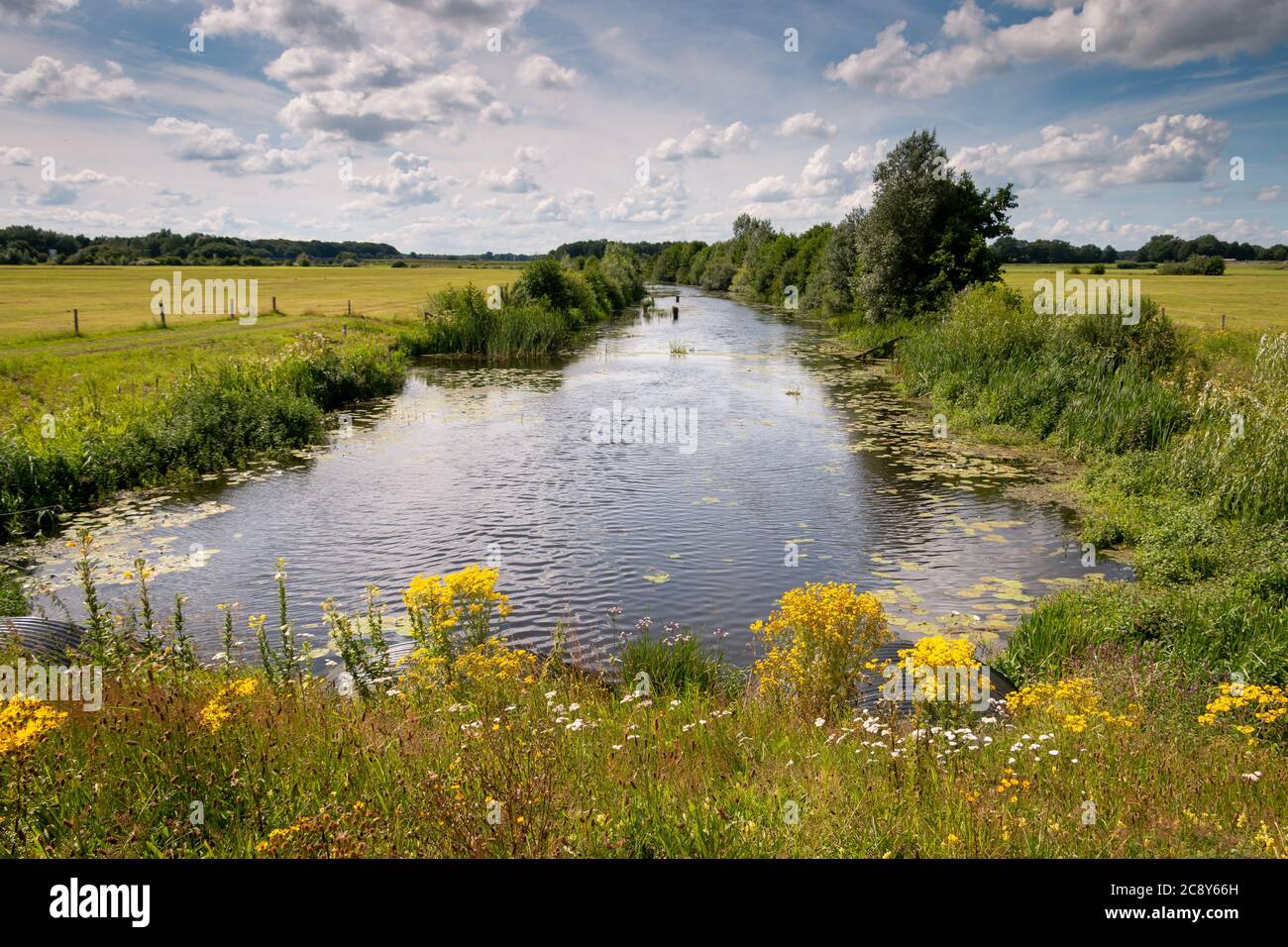 Typical Dutch landscape with rivers and meadows near Hardenberg and ...