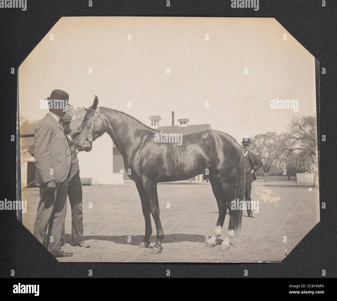 The yearling film hi-res stock photography and images - Alamy