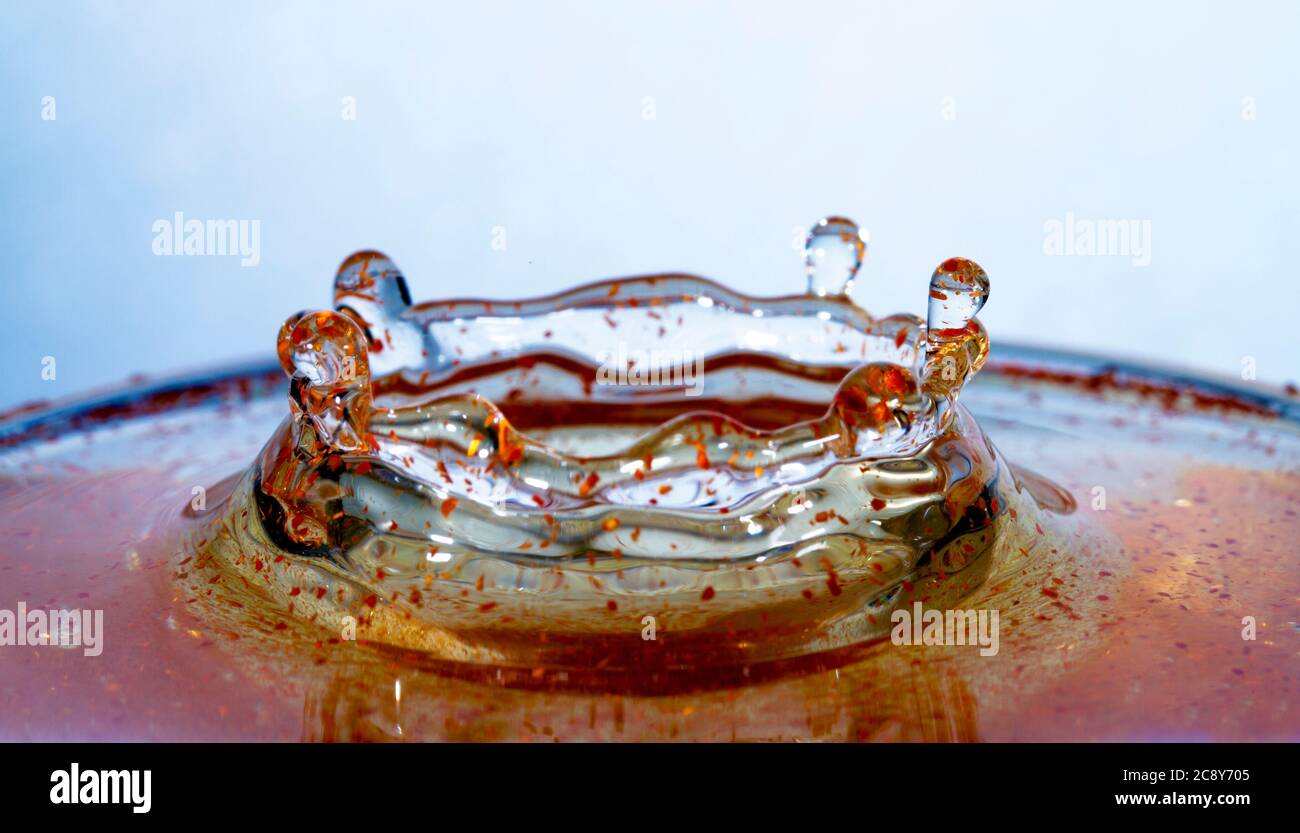 figures and shapes of water produced by splash photographed very ...
