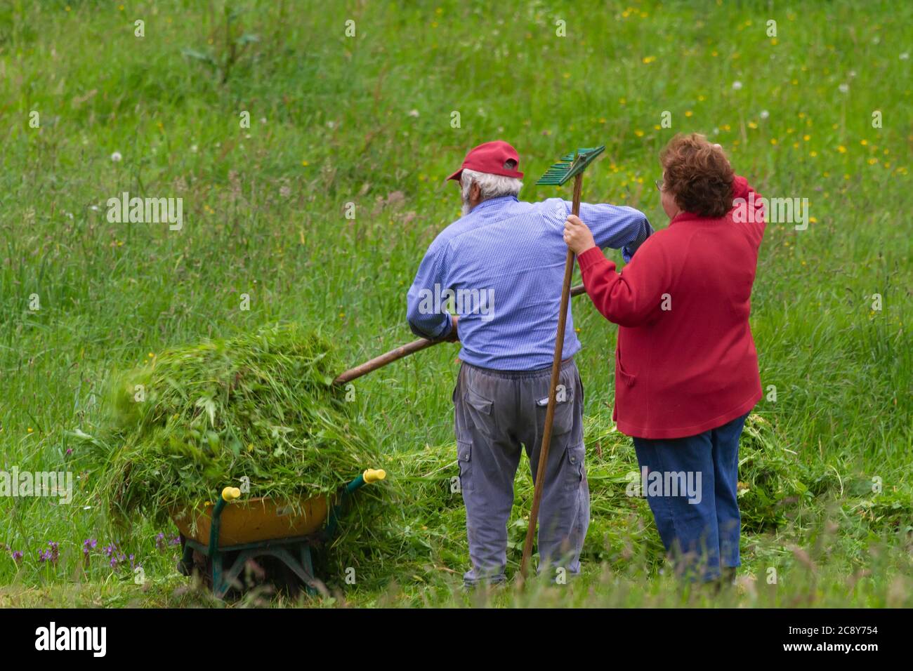 Senior couple doing farm work Stock Photo - Alamy