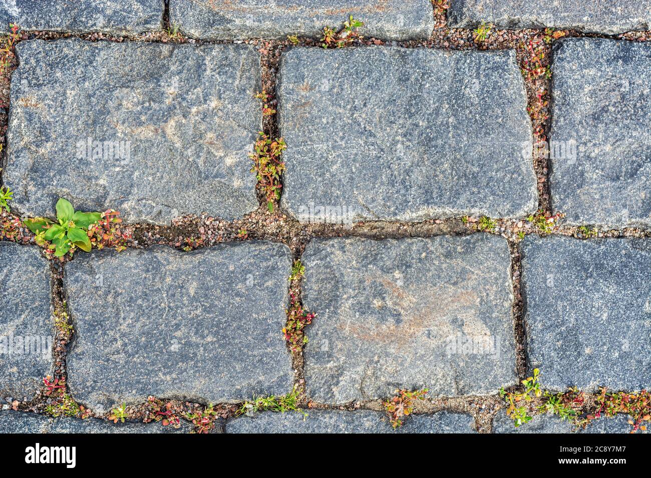 Fragment of a pavement pavement for use as an abstract background and ...