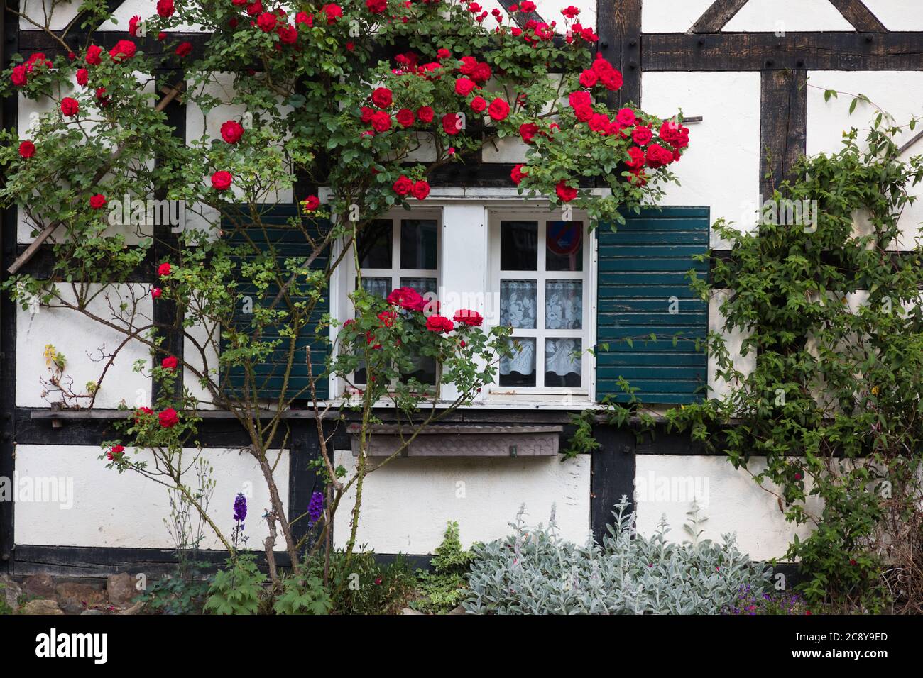 Leichlingen hi-res stock photography and images - Alamy