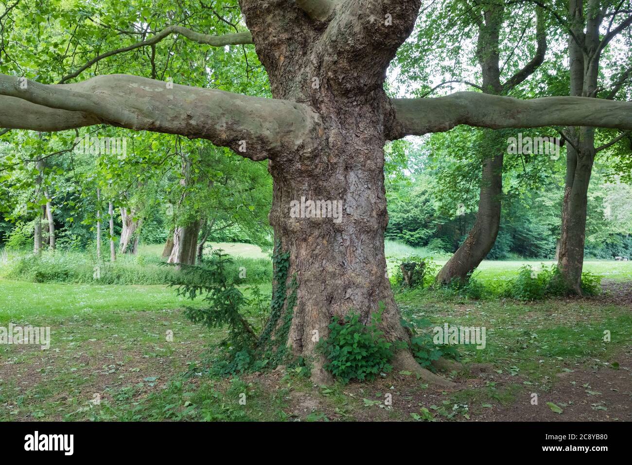 Leichlingen hi-res stock photography and images - Alamy