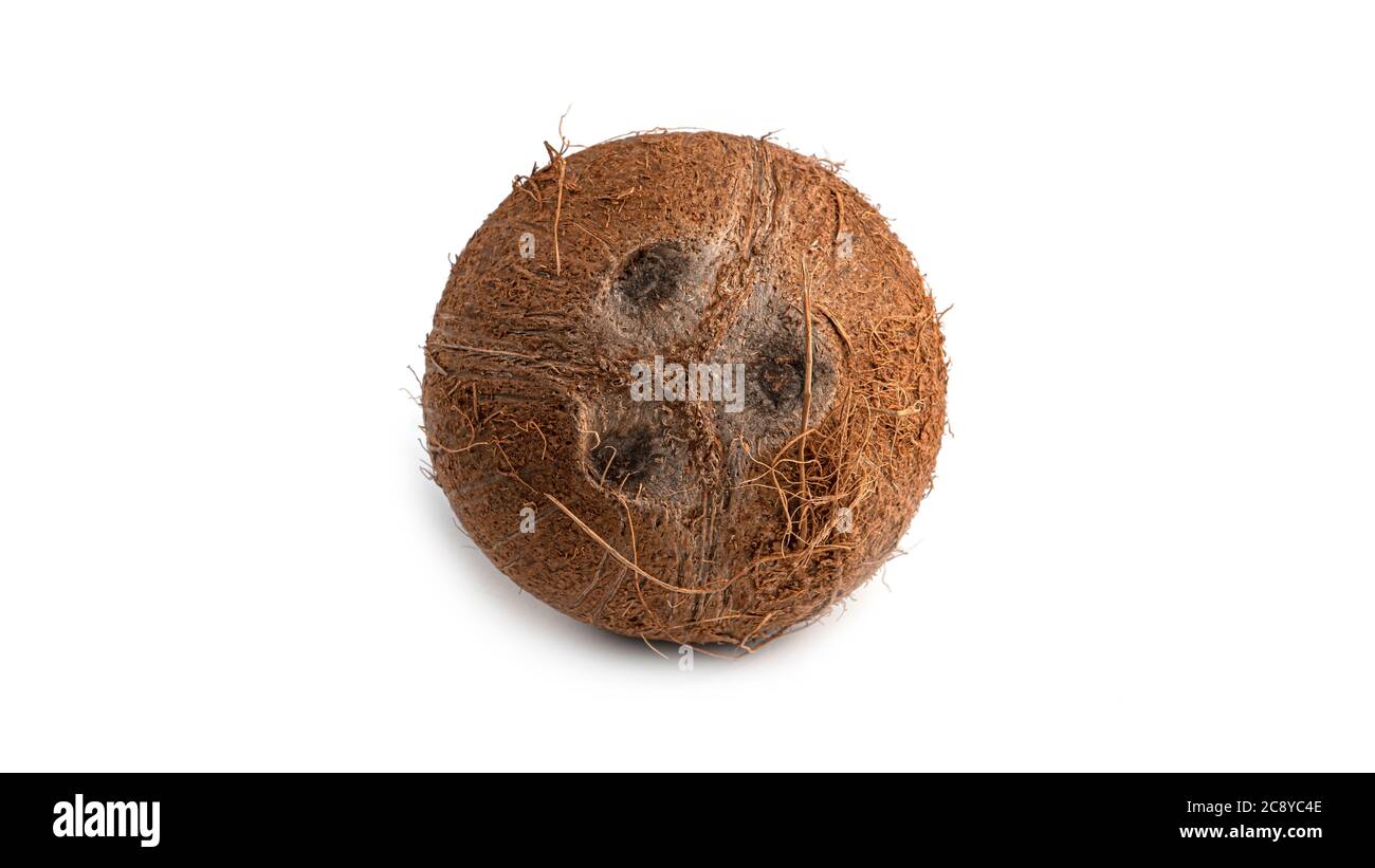 Hard shell of coconut Cut Out Stock Images & Pictures - Alamy