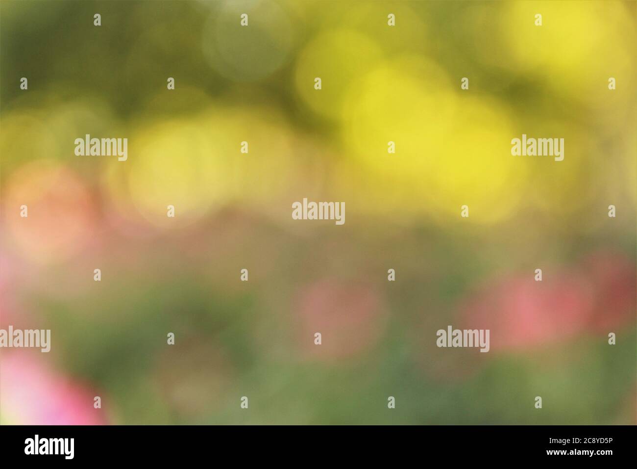Abstract colorful blurry background stock photo Stock Photo - Alamy