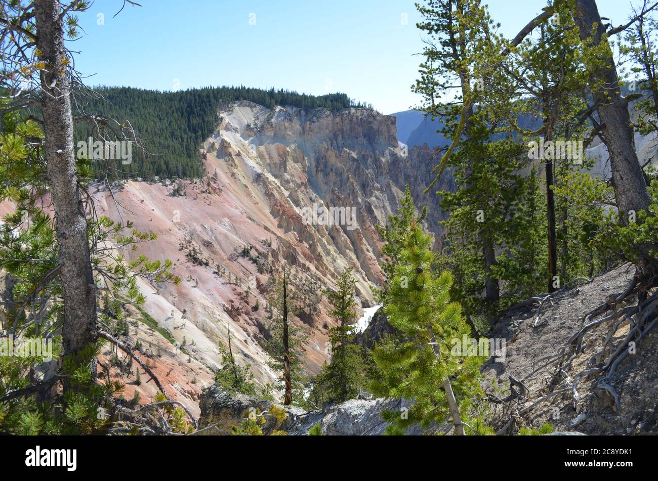 Late Spring in Yellowstone National Park: Clear Morning At the Grand ...