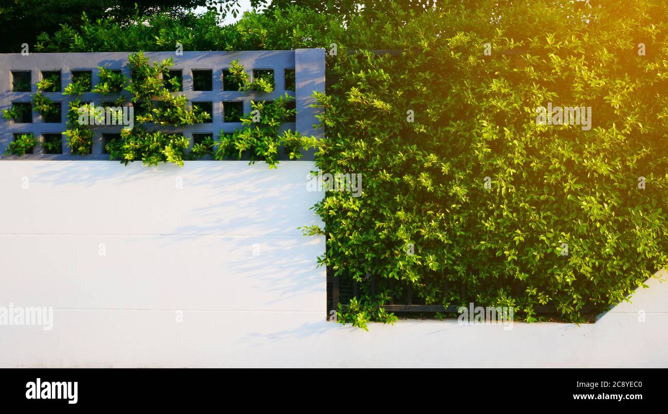 Block wall design hi-res stock photography and images - Alamy