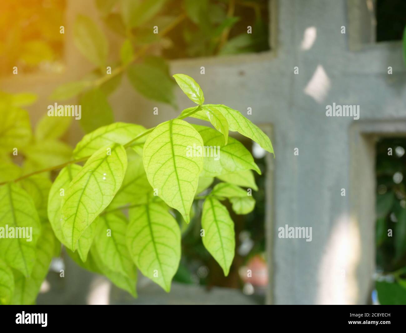 Block wall design hi-res stock photography and images - Alamy