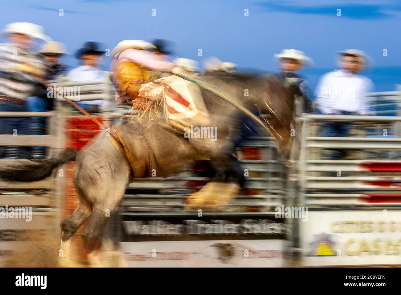 Cowboy on bucking horse hi-res stock photography and images - Alamy