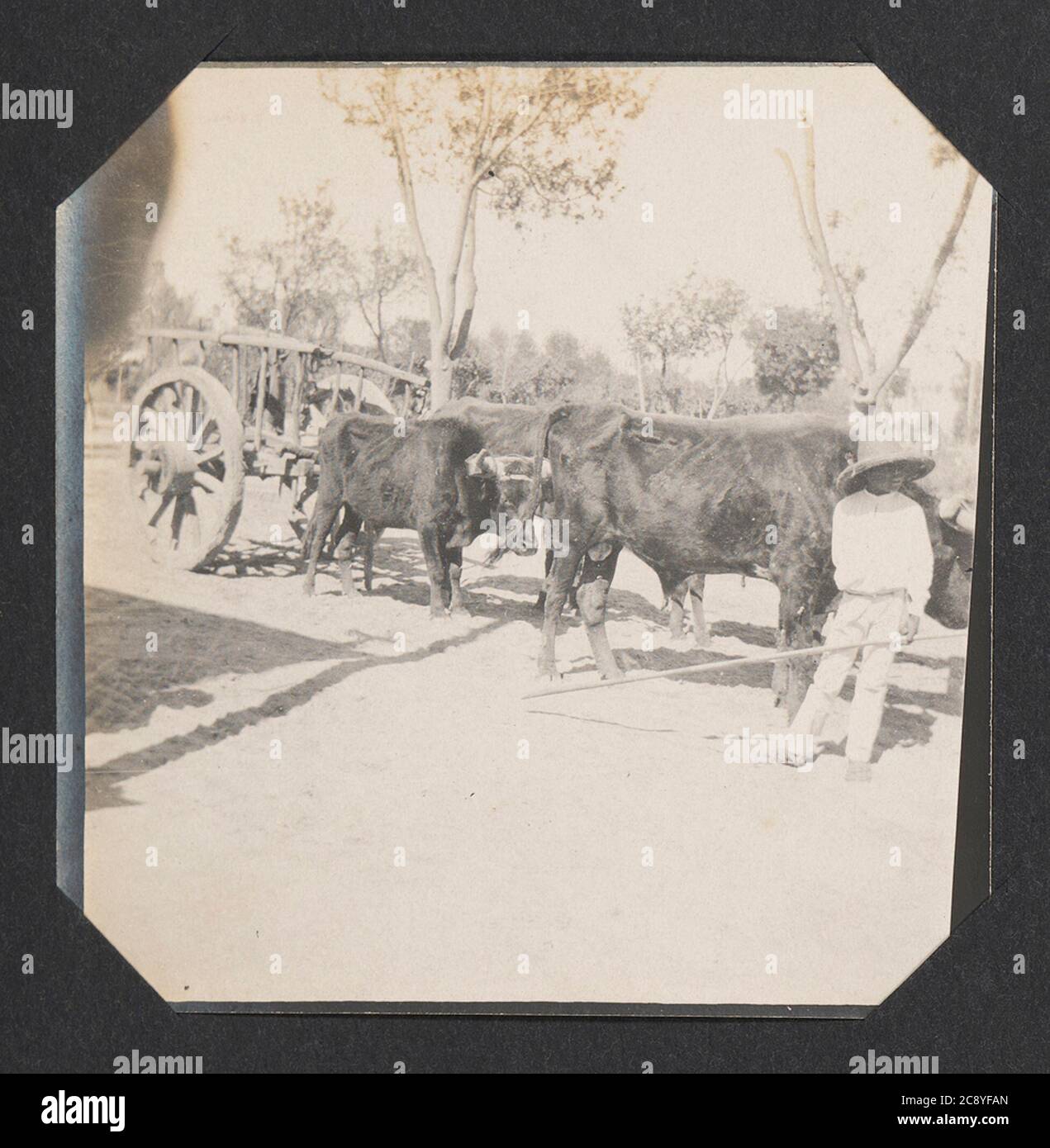 Ox cart vintage hi-res stock photography and images - Alamy