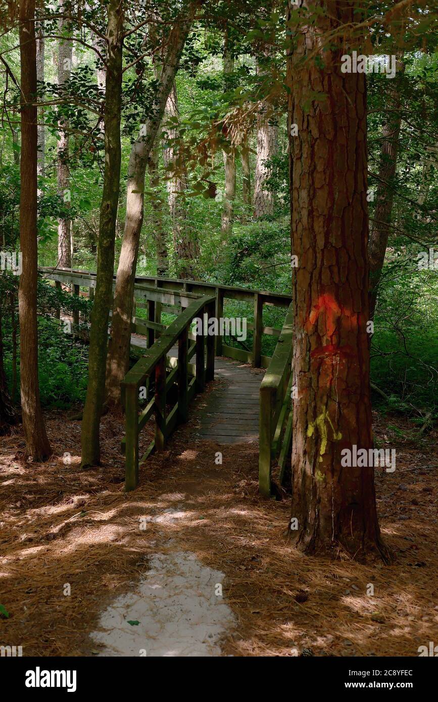 Wooden pedestrian bridge on a forest trail hi-res stock photography and ...