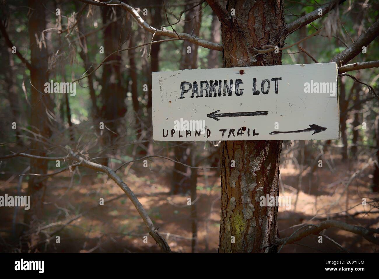 A trailside sign directs hikers to the trail parking lot Stock Photo ...