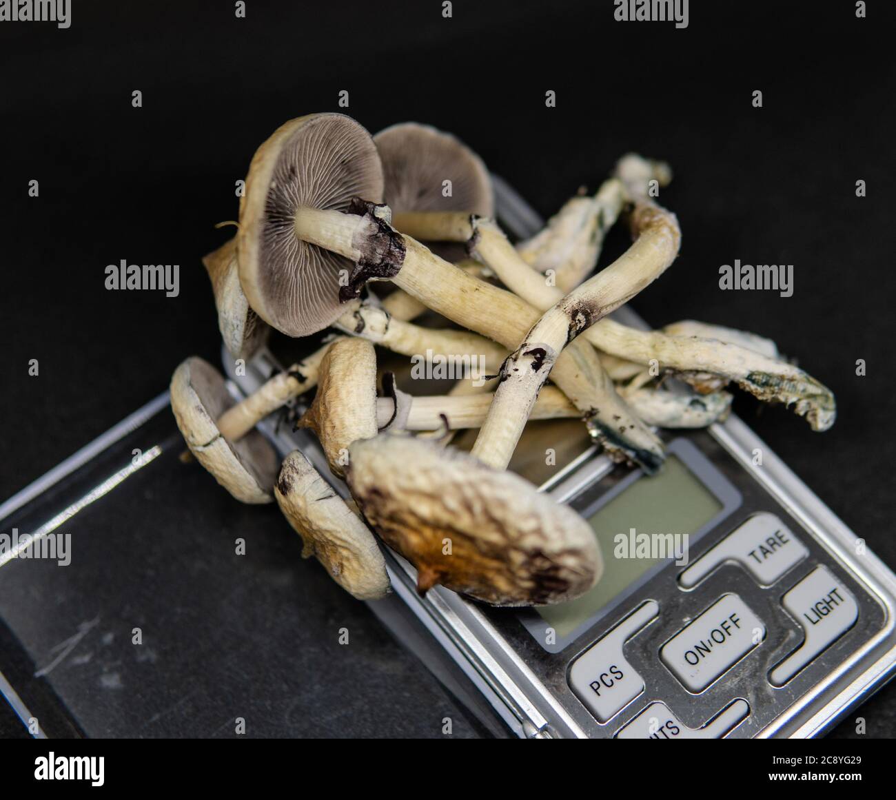 Psilocybin and brain and brain hi-res stock photography and images - Alamy