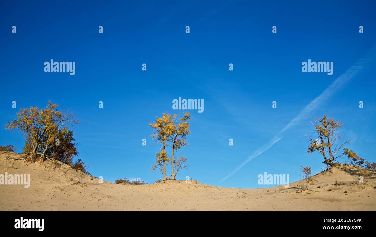 Sand autumn leaf hi-res stock photography and images - Alamy