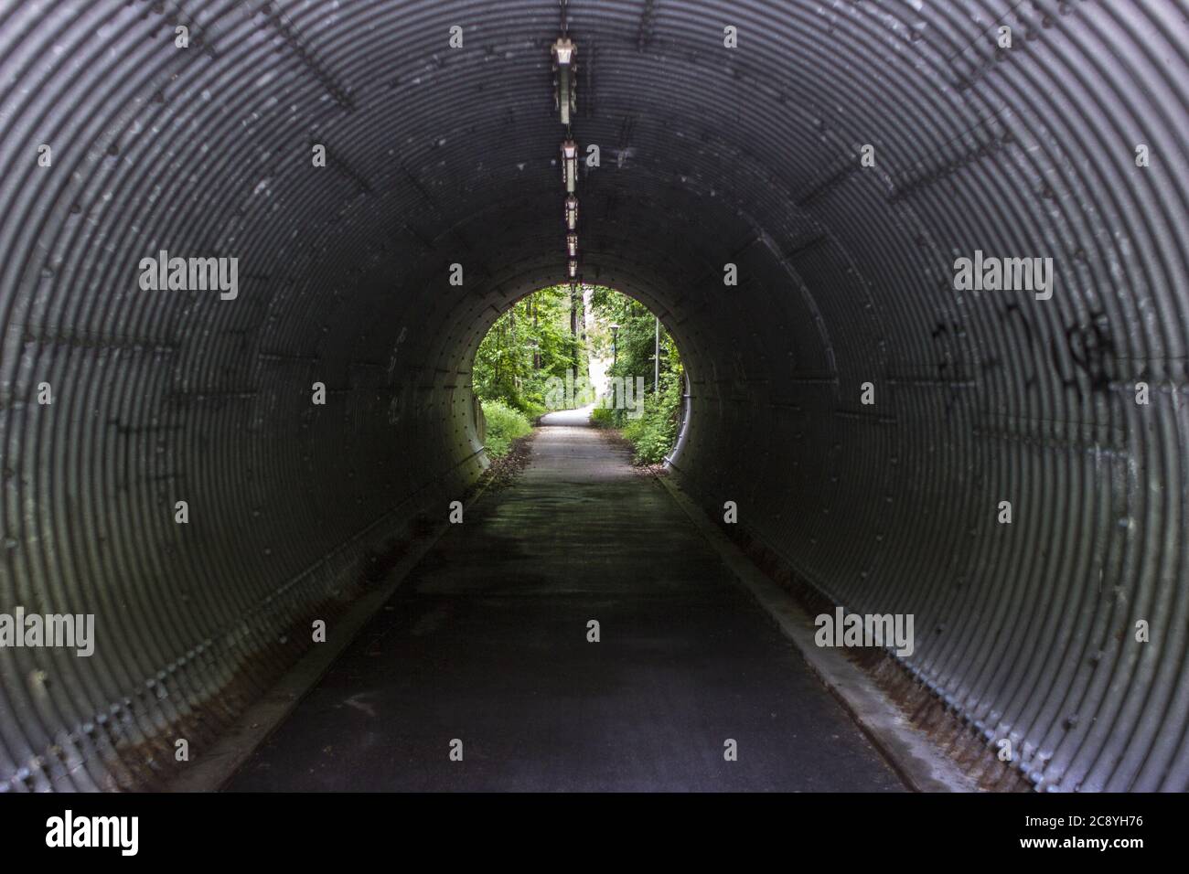Inside shot of a tunnel with beautiful greenery in the background Stock ...