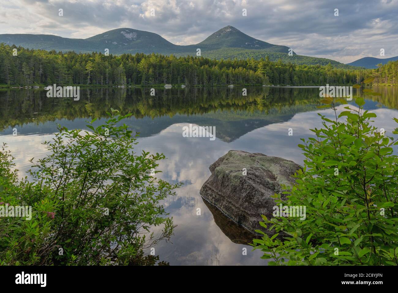 Little ponds hi-res stock photography and images - Alamy