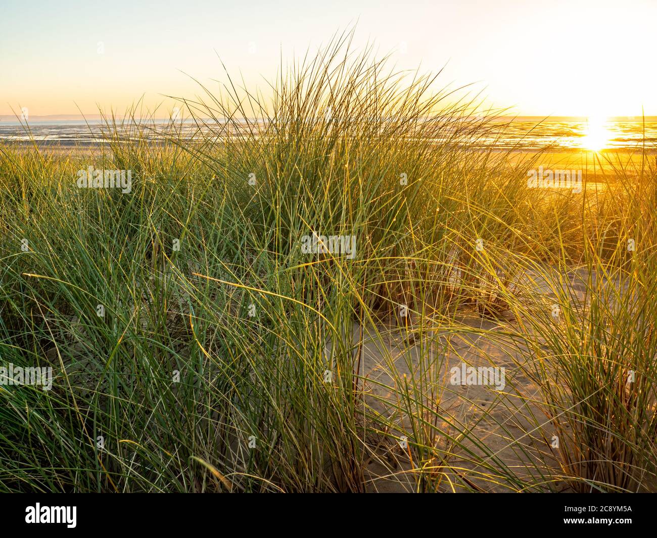 Greatstone beach hi-res stock photography and images - Alamy