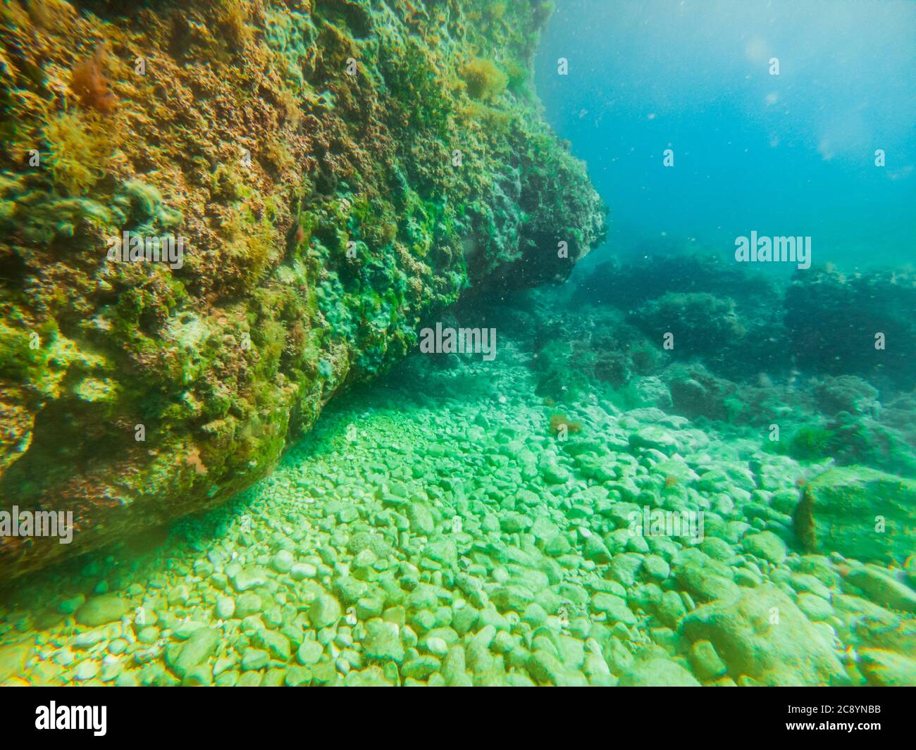 underwater sea bottom view Stock Photo - Alamy