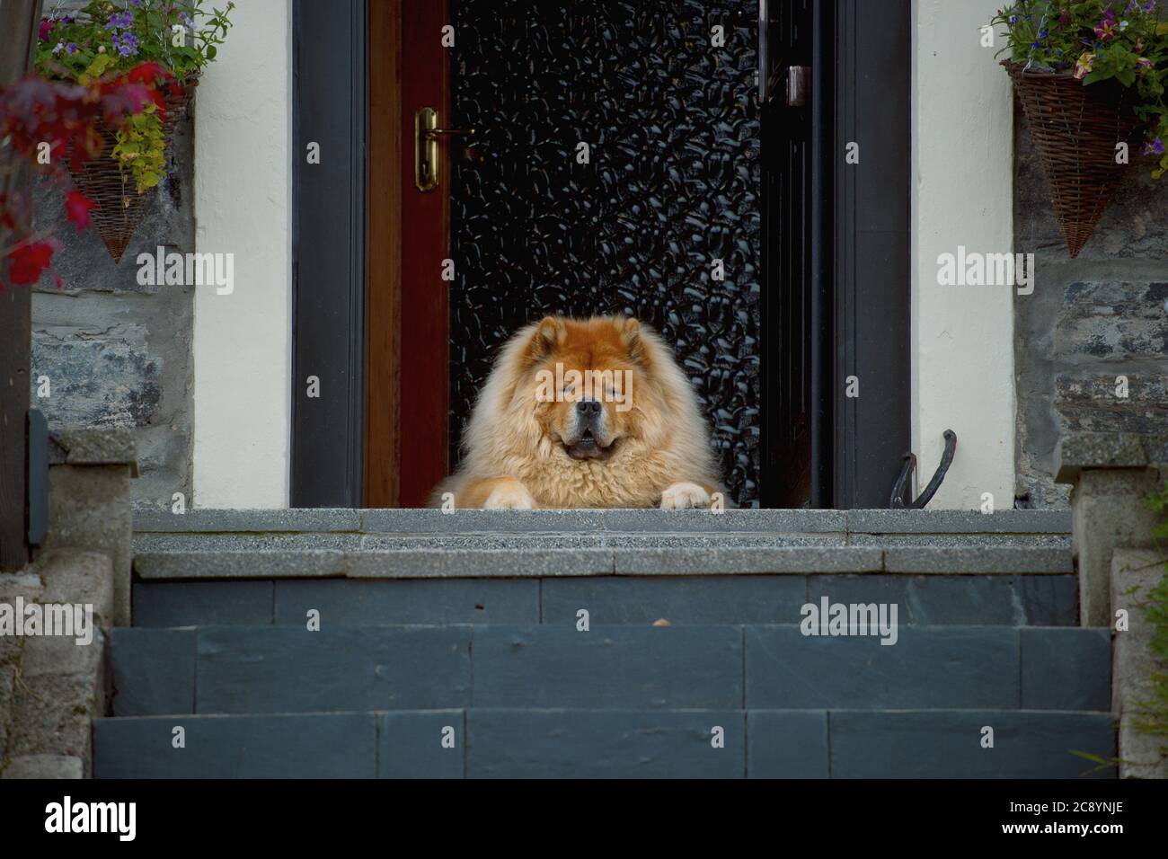 Sleeping security guard hi-res stock photography and images - Alamy