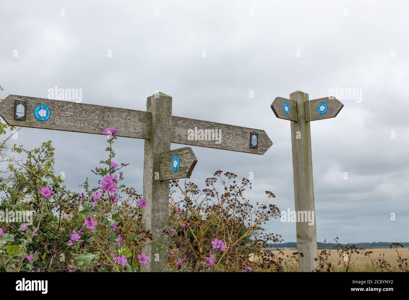 Fingerposts pointing the way in Norfolk, England UK Stock Photo - Alamy