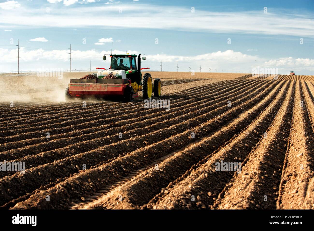 A farmer using a tractor and planting implement, plants potatoes in the ...