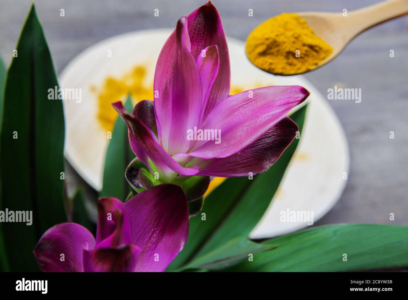 Curcuma flower hi-res stock photography and images - Alamy