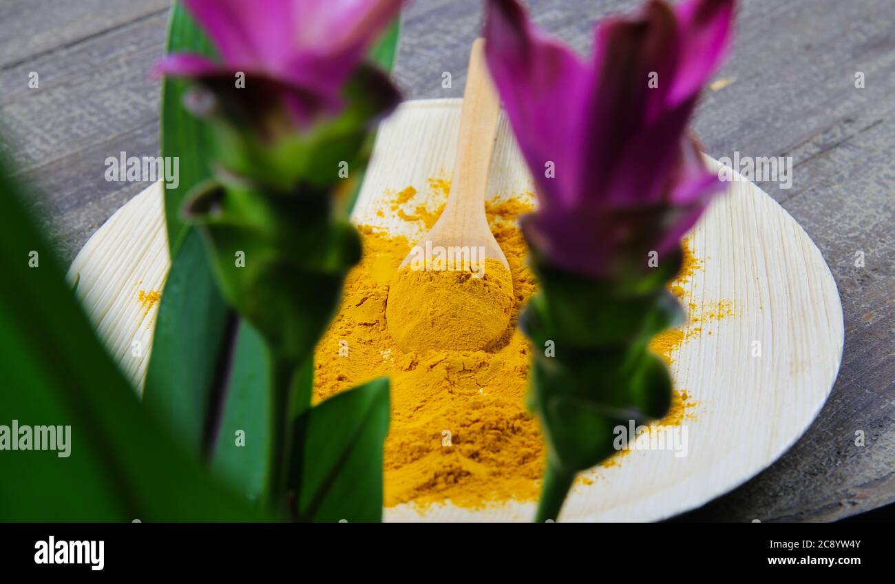 Curcuma plant hi-res stock photography and images - Alamy