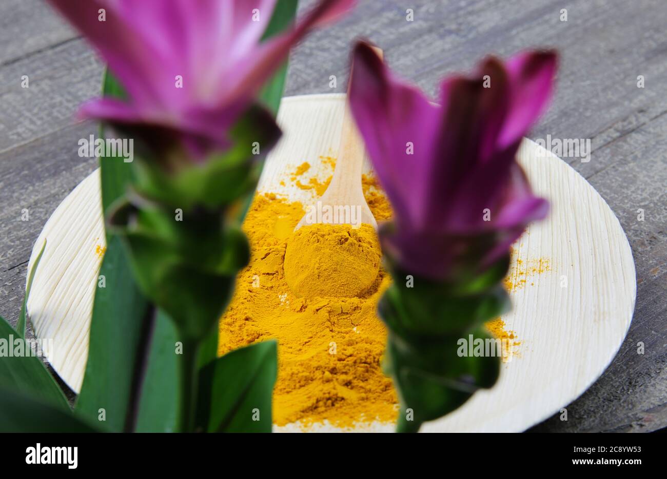 Curcuma flower hi-res stock photography and images - Alamy