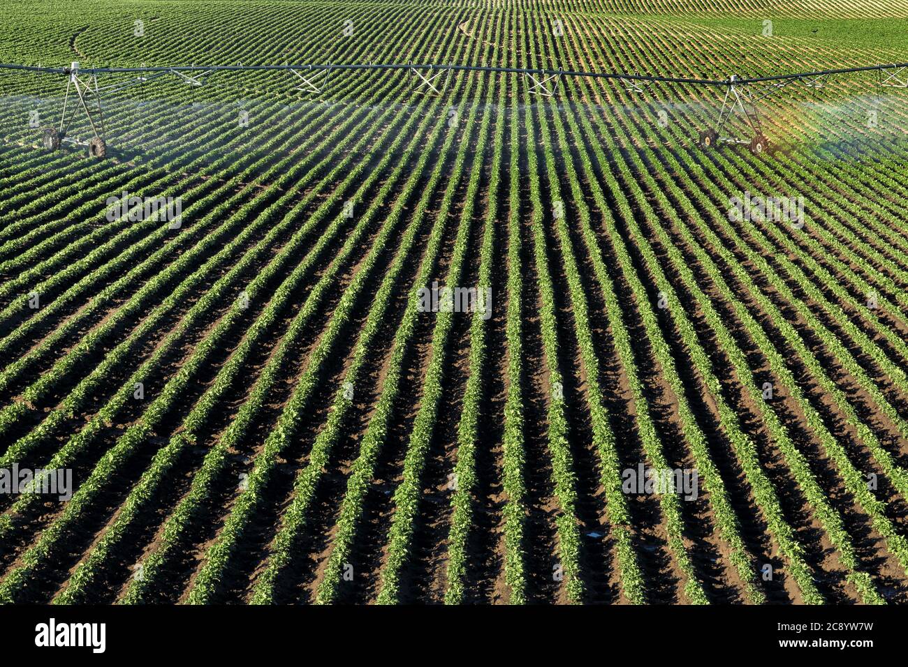 Field fields pattern hi-res stock photography and images - Alamy