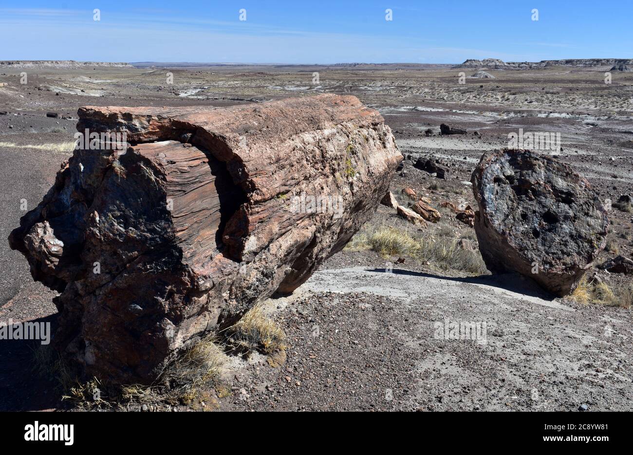 Very large petrified log in front a barren desert landscape Stock Photo ...