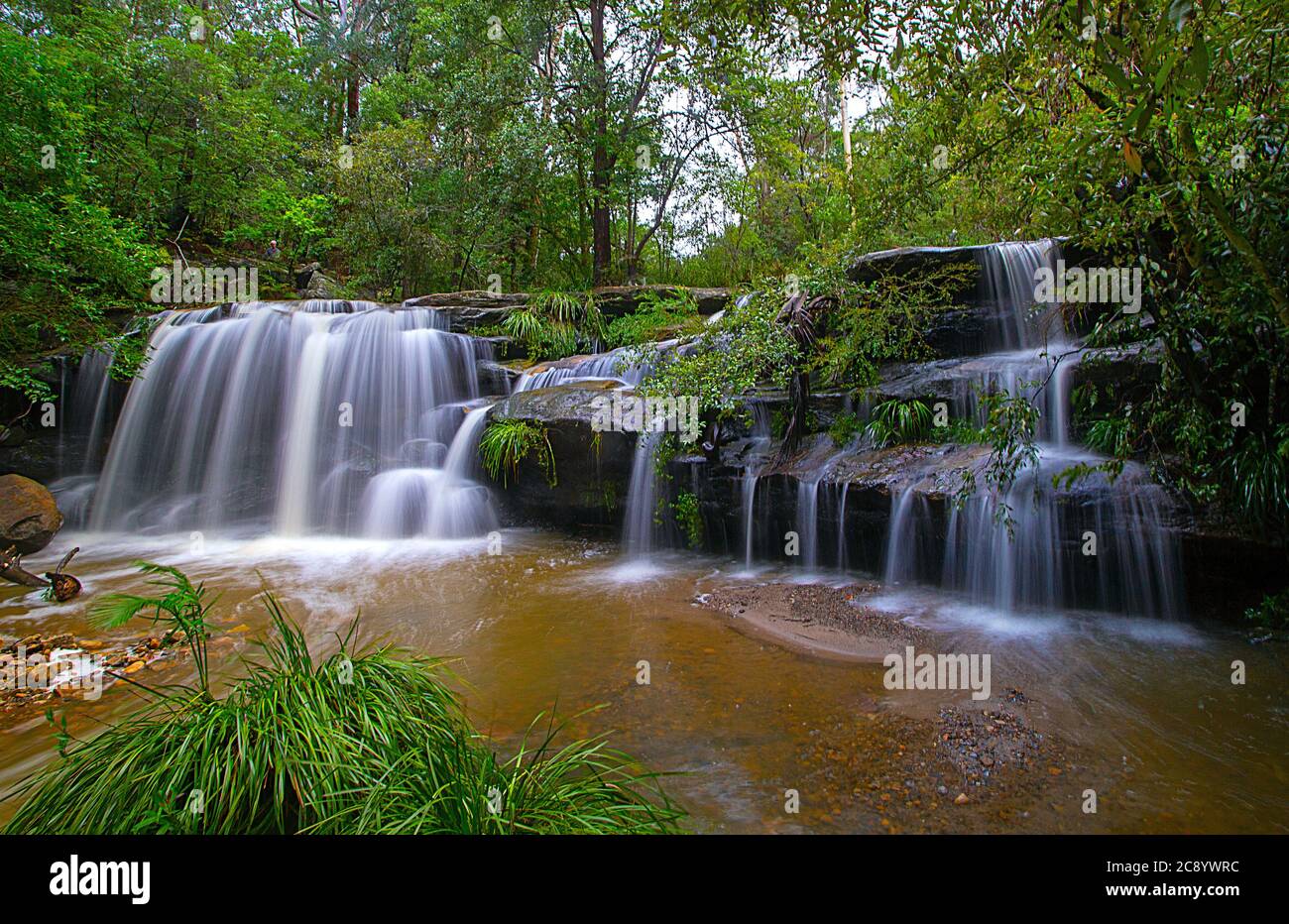 Carlingford australia hi-res stock photography and images - Alamy