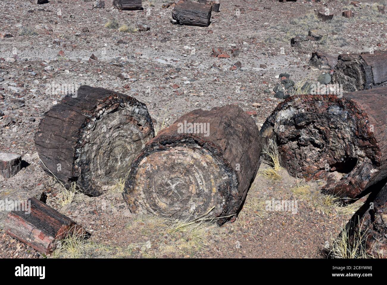 Chunks of logs hi-res stock photography and images - Alamy