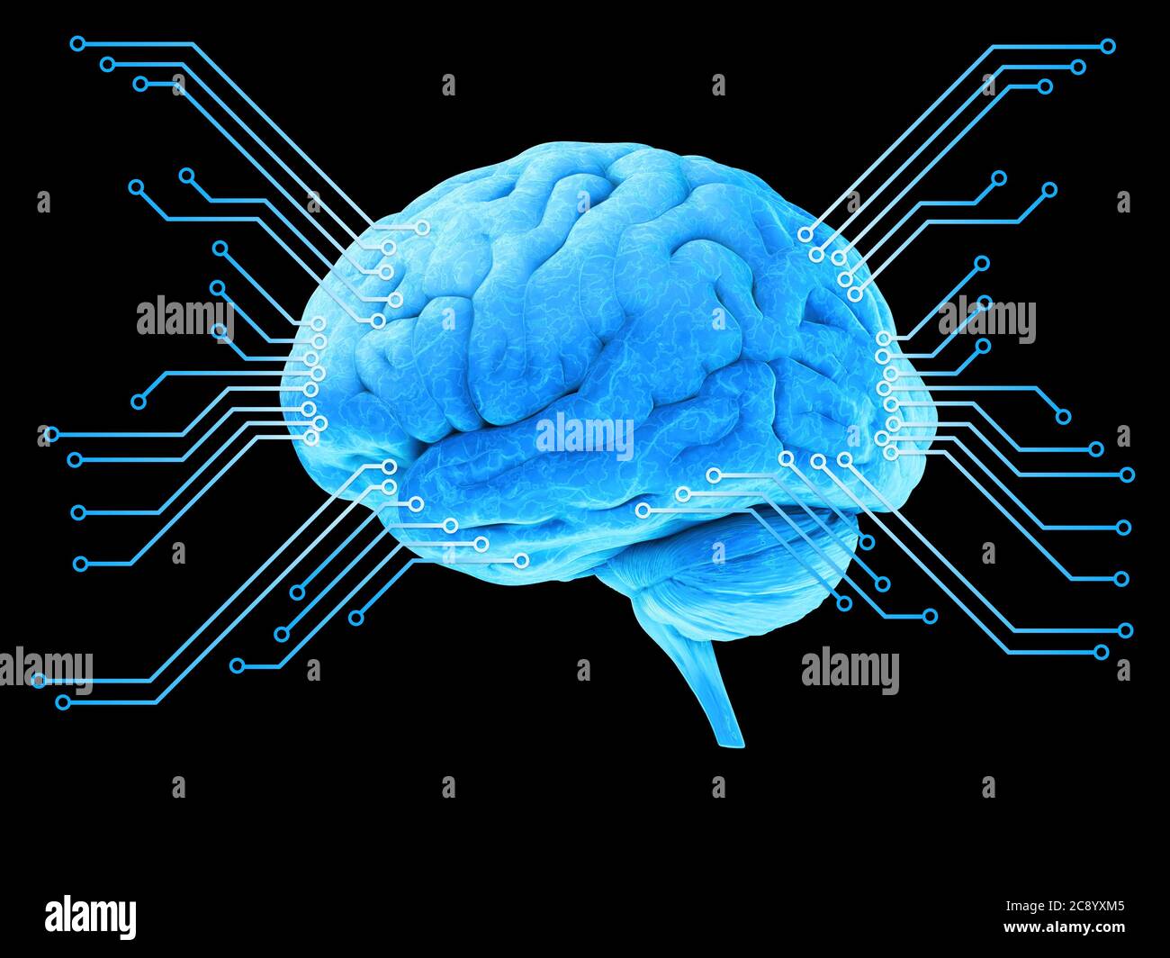Digital illustration of human Brain, blue digital brain, processor, 3D ...
