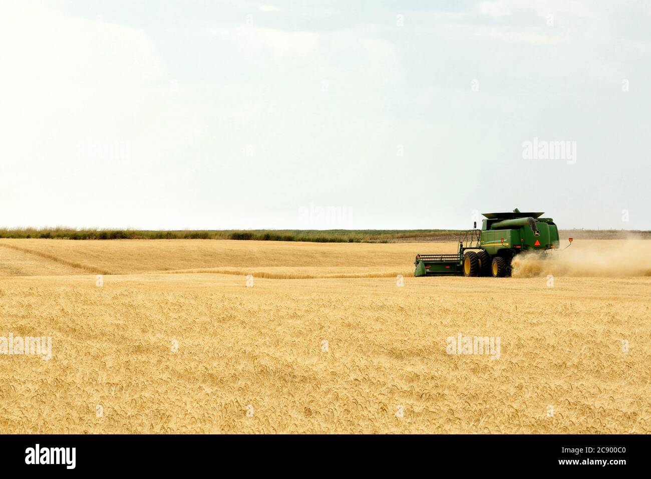 Combines harvesting wheat hi-res stock photography and images - Alamy