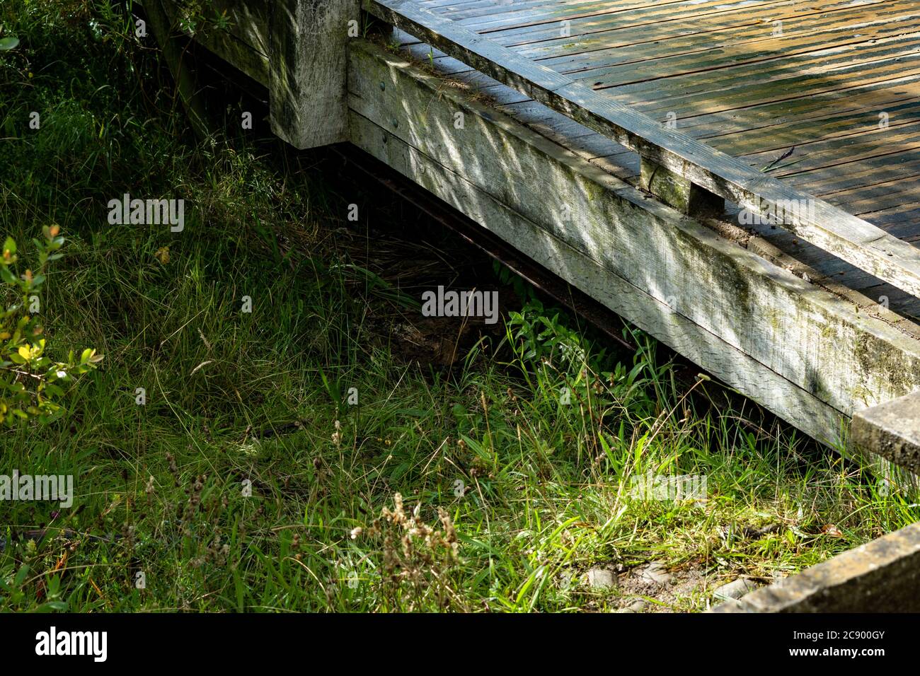 A well maintained environment with a beautiful landscape. Stunning ...