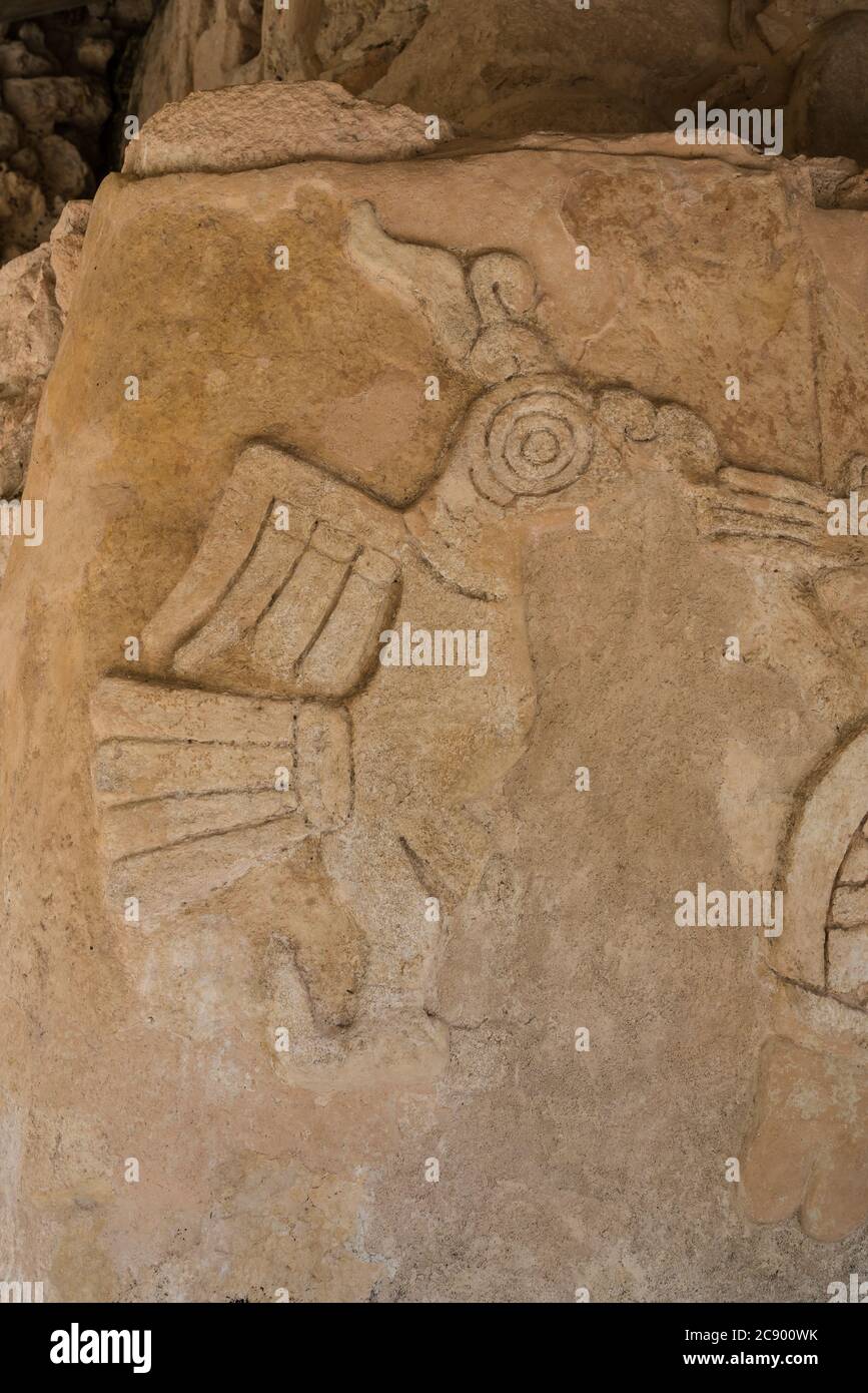 Native mexican bird hi-res stock photography and images - Alamy