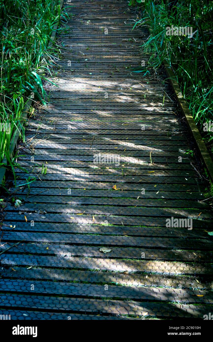 Dramatic path in marshlands hi-res stock photography and images - Alamy