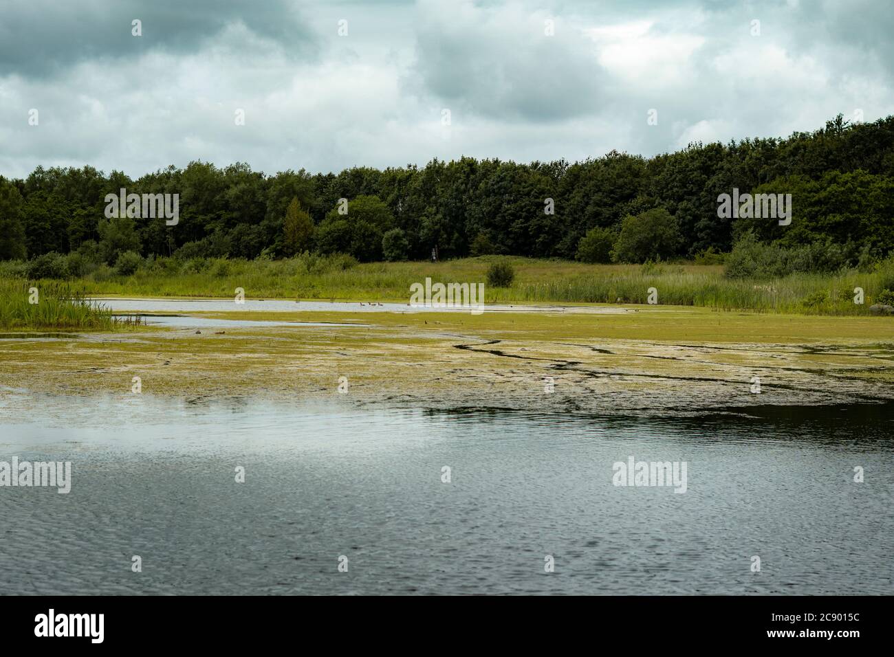 In the midst of the marshlands with a beautiful surrounding landscape ...