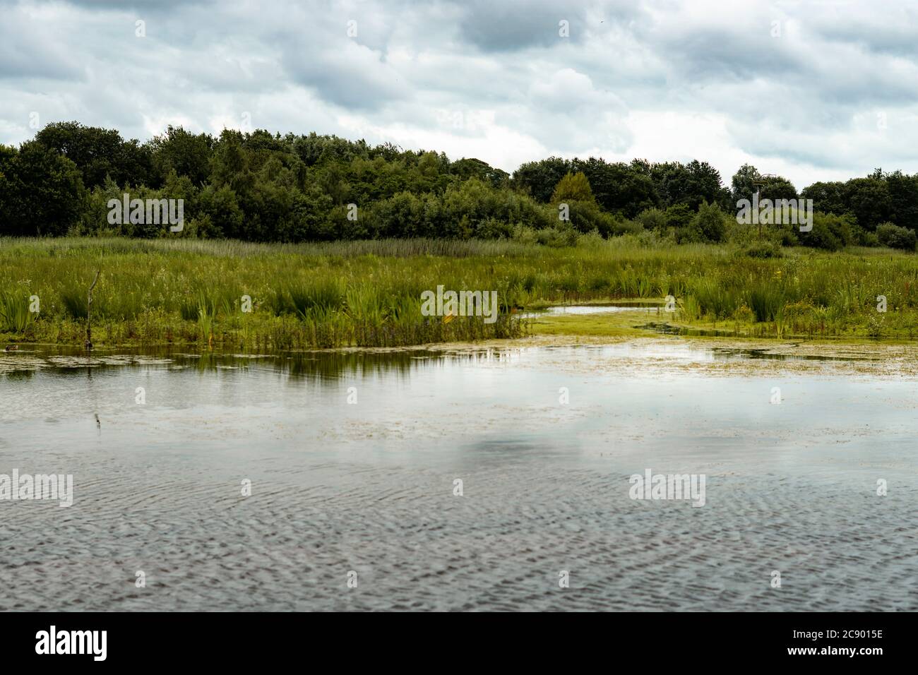 In the midst of the marshlands with a beautiful surrounding landscape ...