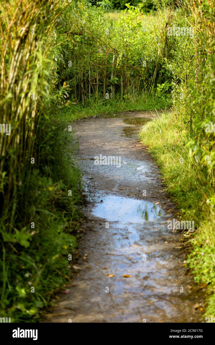 A beautiful maintained archway with the marshlands on either side as ...