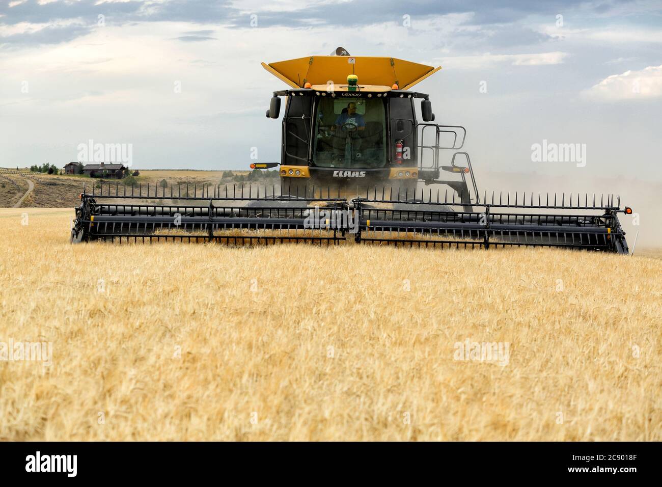 Combines work harvesting wheat in the fertile farm fields of Idaho ...